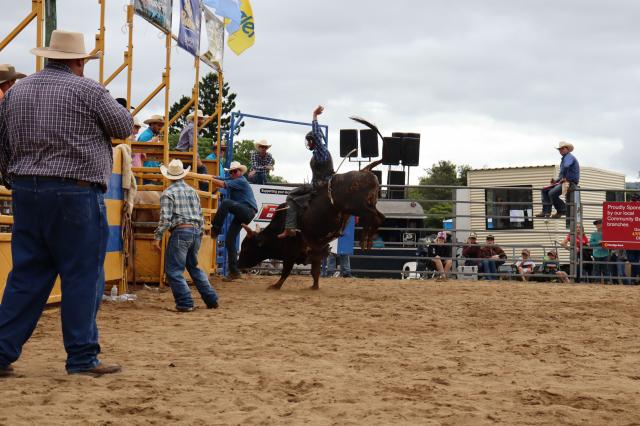 Rodeo action for New Year's | Burnett Today
