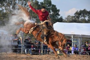 GALLERY: Cherbourg Rodeo to honour elder | Burnett Today