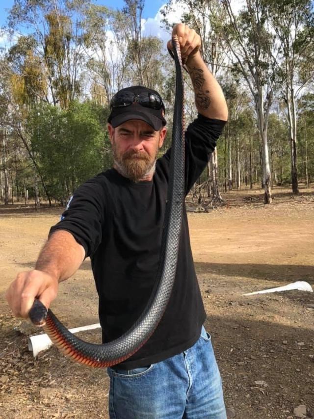 Snake season: watch out | Burnett Today