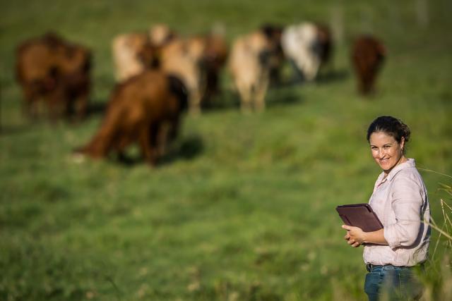 State finalist helps bring cattle certainty | Burnett Today