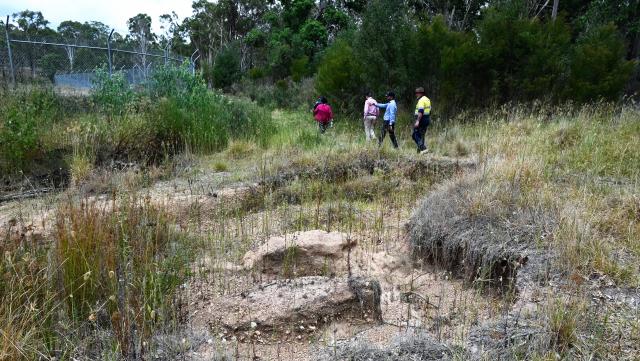 Cherbourg's flood recovery | Burnett Today