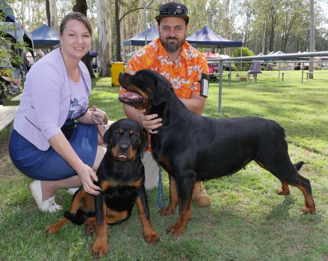 GALLERY: Back to back dog comps | Burnett Today