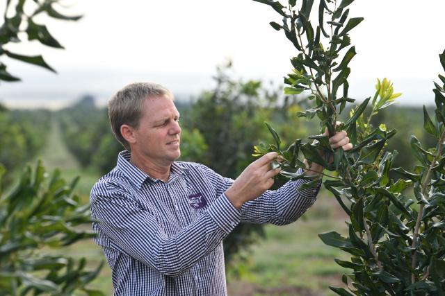 Making cold-pressed oil | Burnett Today