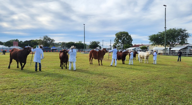 Dallas 3-time champ | Burnett Today