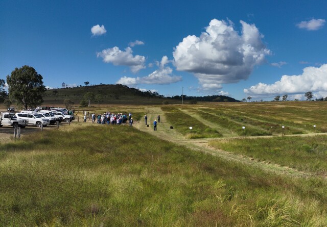 Field day at Brian Pastures | Burnett Today