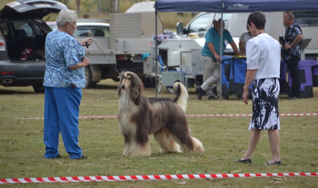 Goomeri's 85th show | Burnett Today