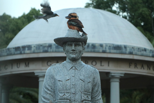 Aussie icons | Burnett Today